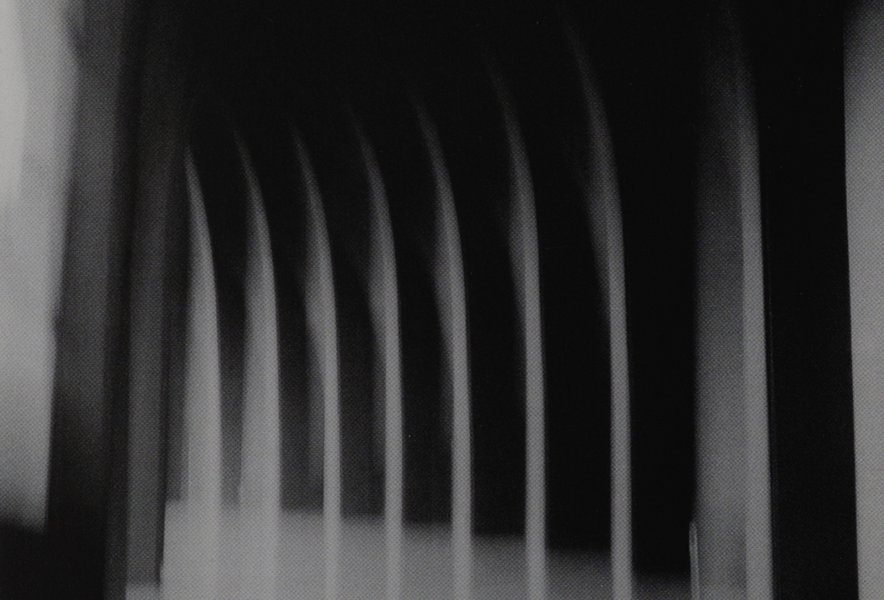 A fan community dedicated to Shocking Lemon with the most complete archive